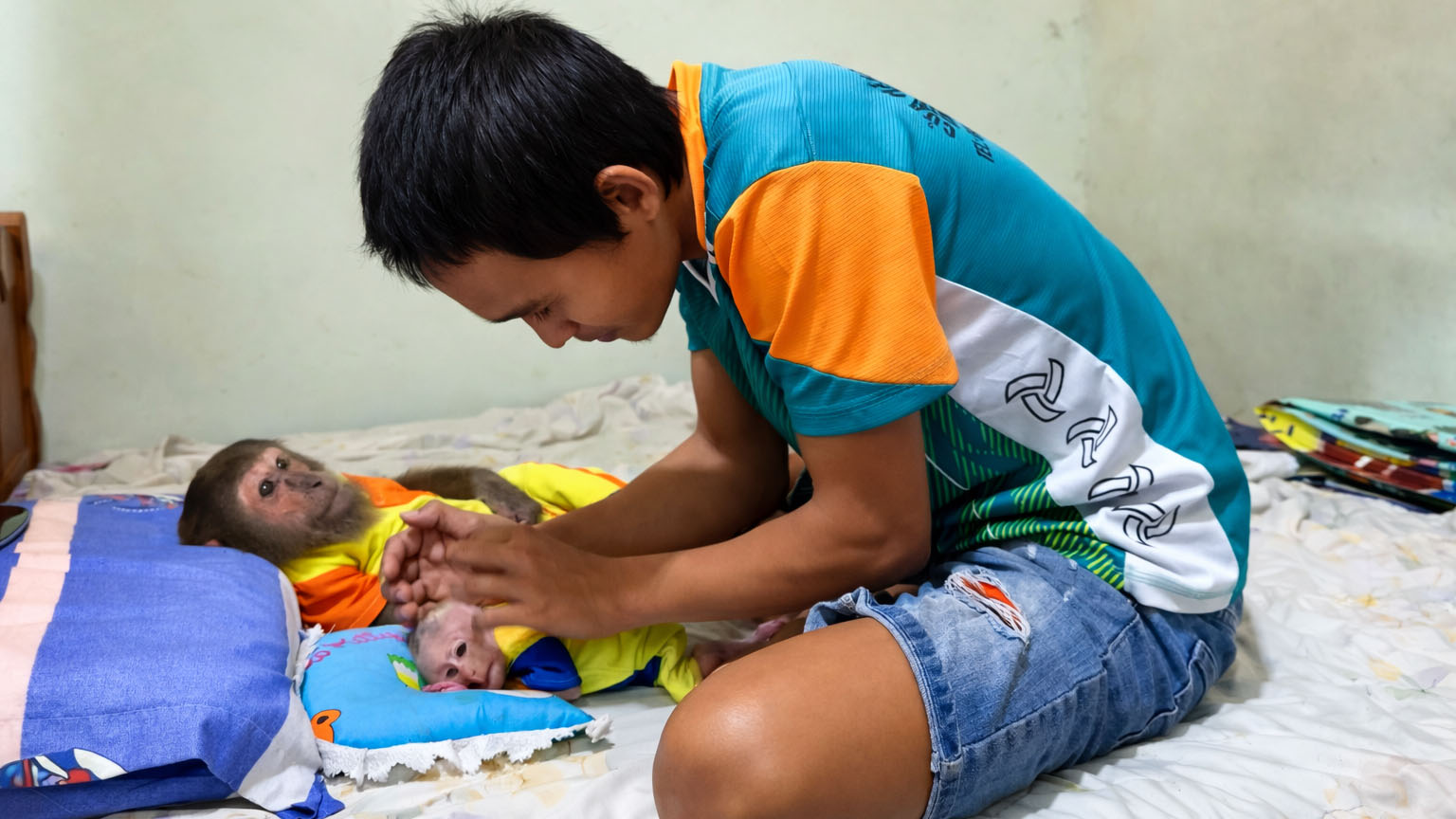 Cutis’ Clever Way to Care for Little BuEm