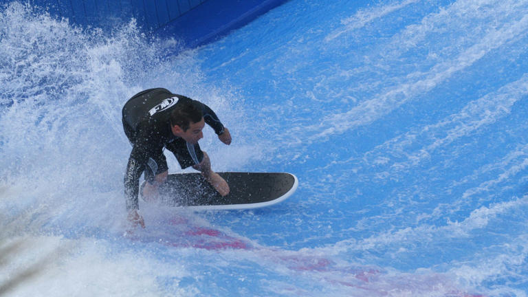 Termite company owes $6 million to Alabama amusement park, arbitrator says