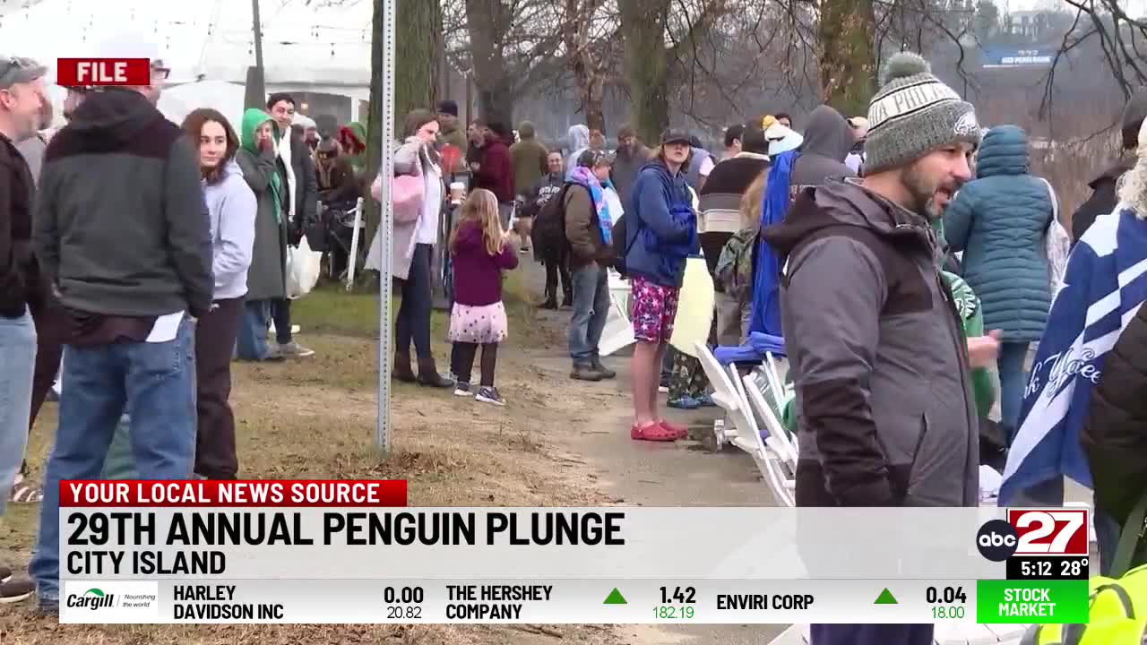 Humane Society of Harrisburg Area hosts Penguin Plunge