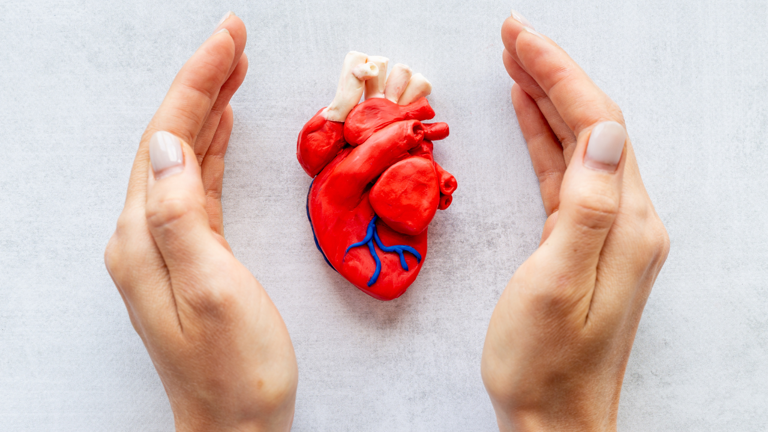 Heart health: Cardiologist-approved simple habits to protect your heart