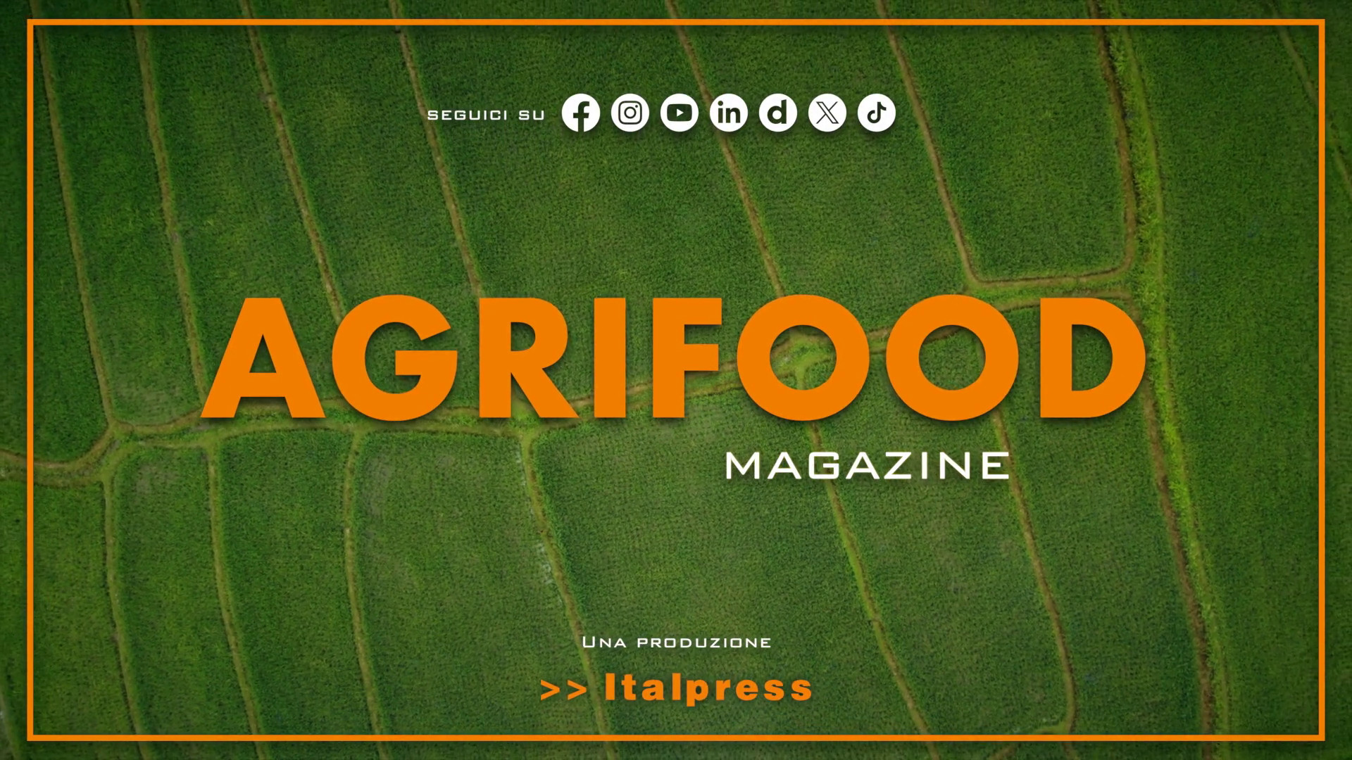 Agrifood magazine - 31/12/2025