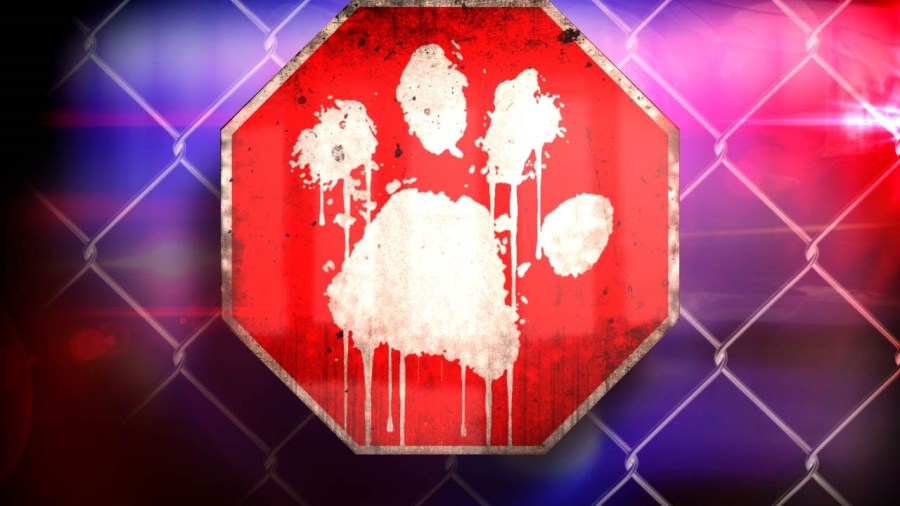 EPD and animal control investigating three animal cruelty cases