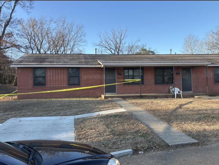 Man in custody after Tennessee mother of 3 found unclothed, unconscious ...