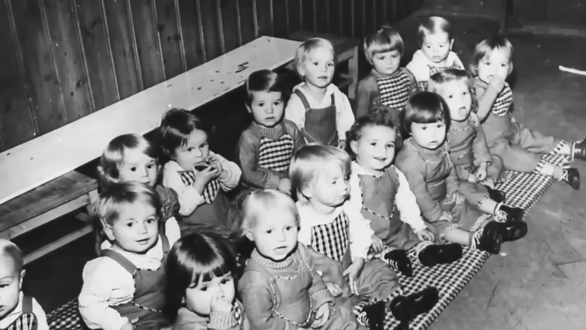 Himmler’s breeding project: The Nazi plan to engineer a master race