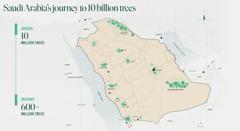 Will Saudi Arabia succeed in turning its vast desert landscape green by ...