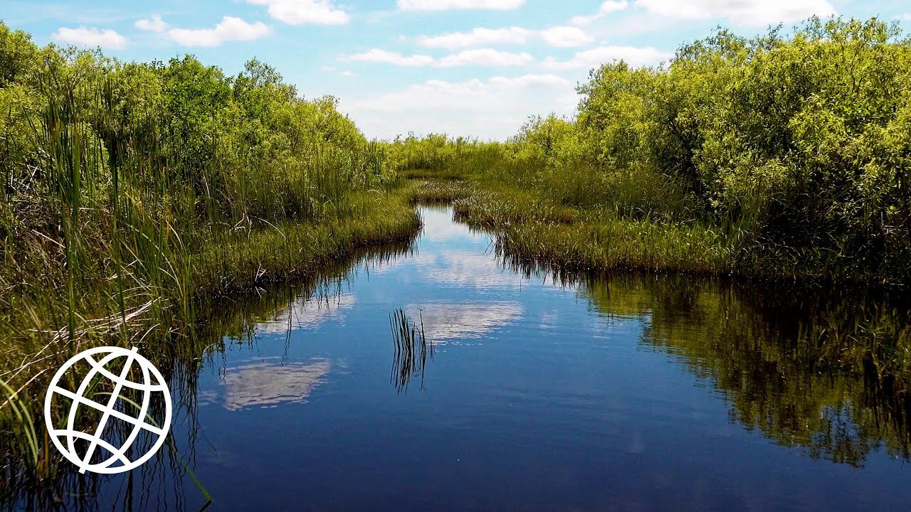 Everglades Nemzeti Park, Florida, USA [Csodálatos helyek 4K]