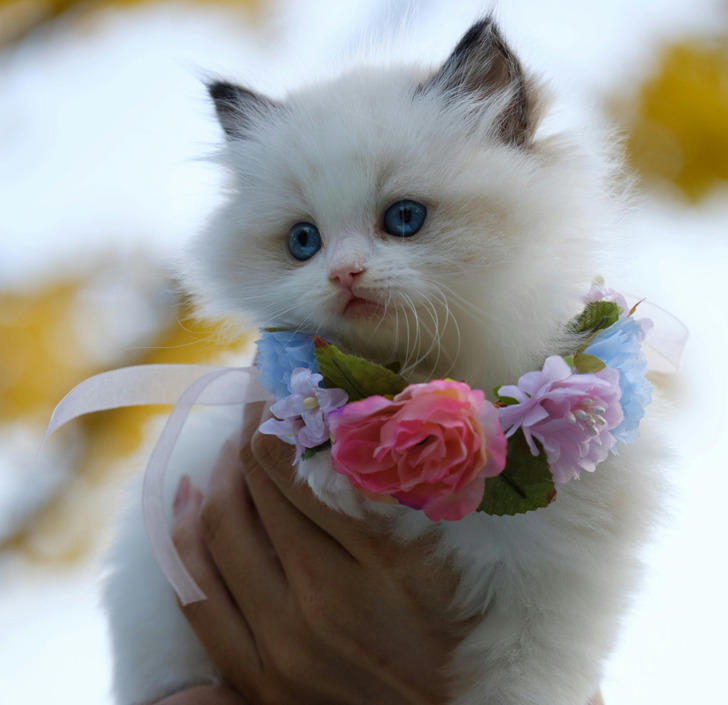 16 stories that prove kindness is a boomerang that always finds its way ...