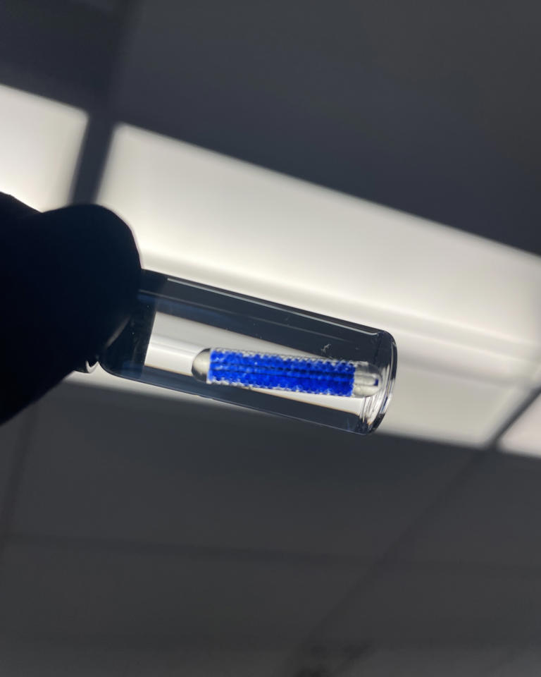 A company is trying to unlock a key to aging, in a long-overlooked body ...