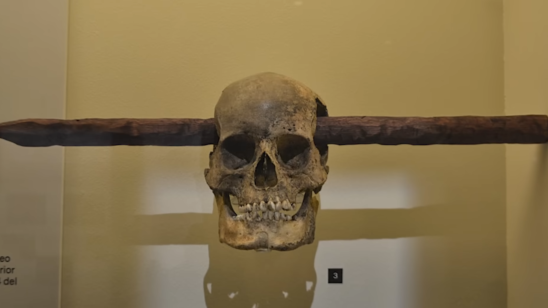 It sounds like a human dying - it's a 500-year-old weapon