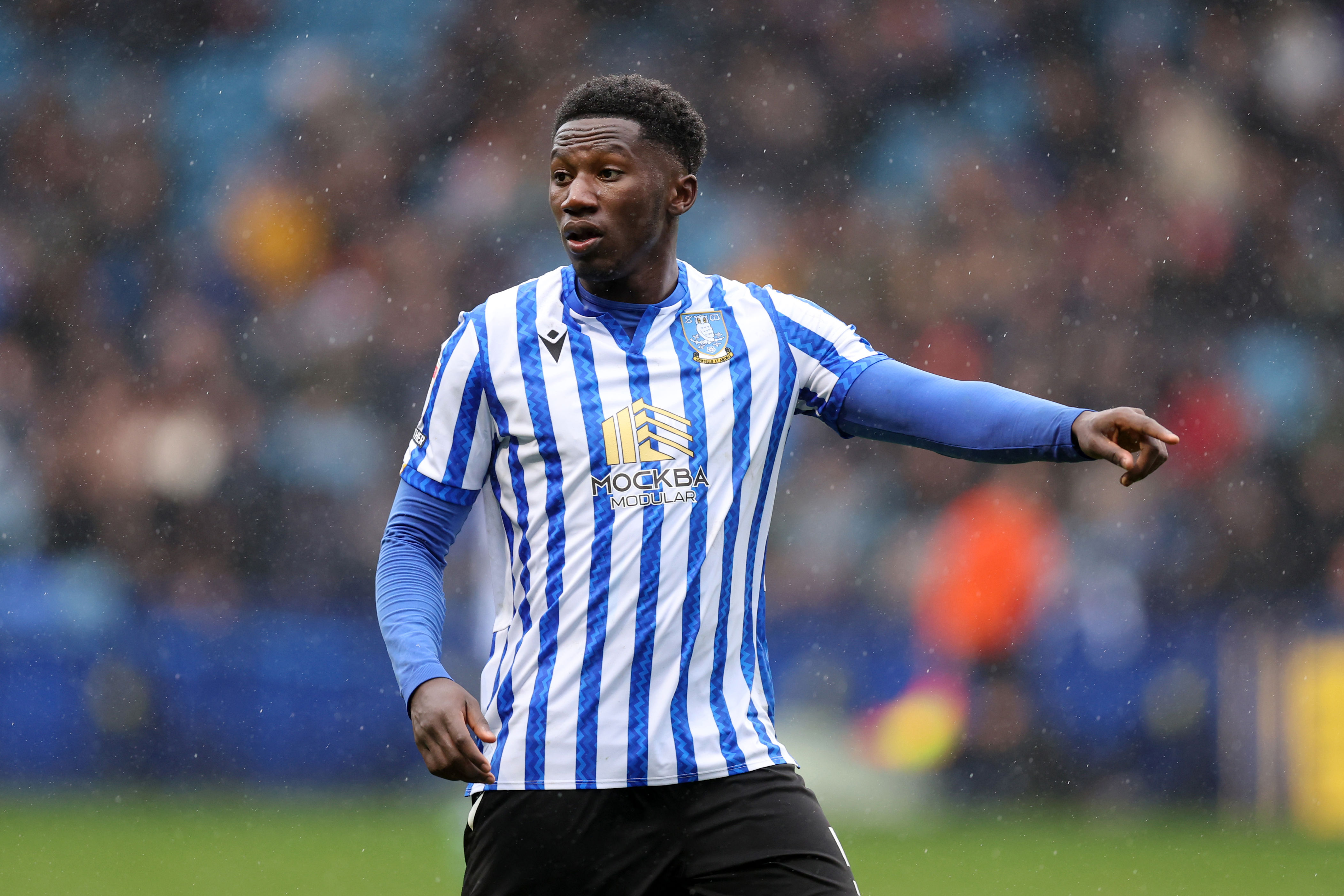 Di'Shon Bernard injury update as Sheffield Wednesday set new return ...