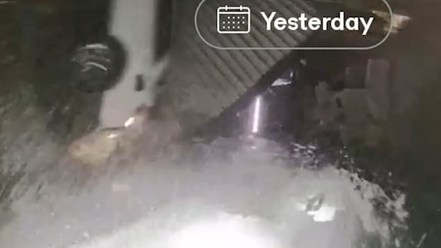 Horror car crash sees vehicle roll over wall, fling driver into ...