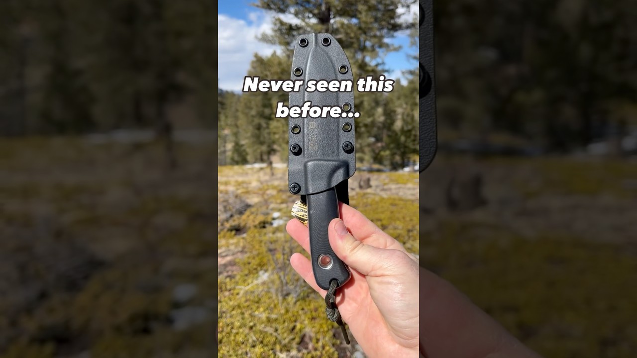 Have never seen a blade like this! Olive arbor