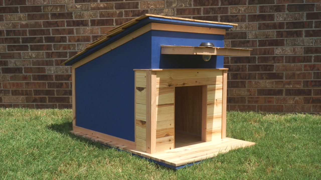 How to build a dog house that actually holds up