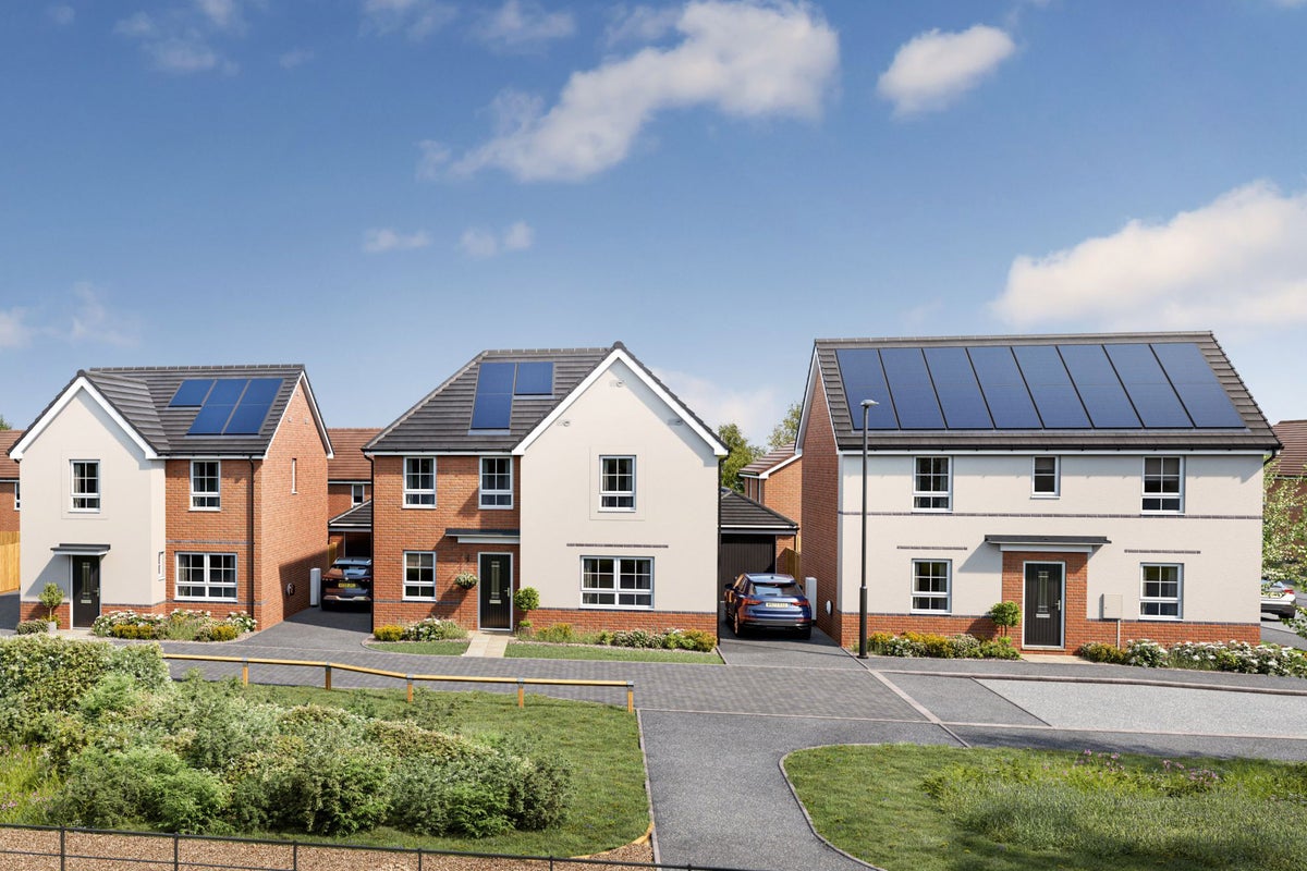 I researched Octopus’ solar panels – are they worth it?