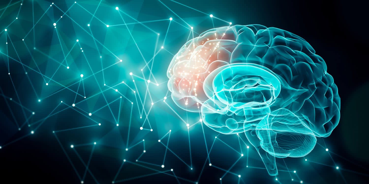 The most popular psychology and neuroscience studies of 2025