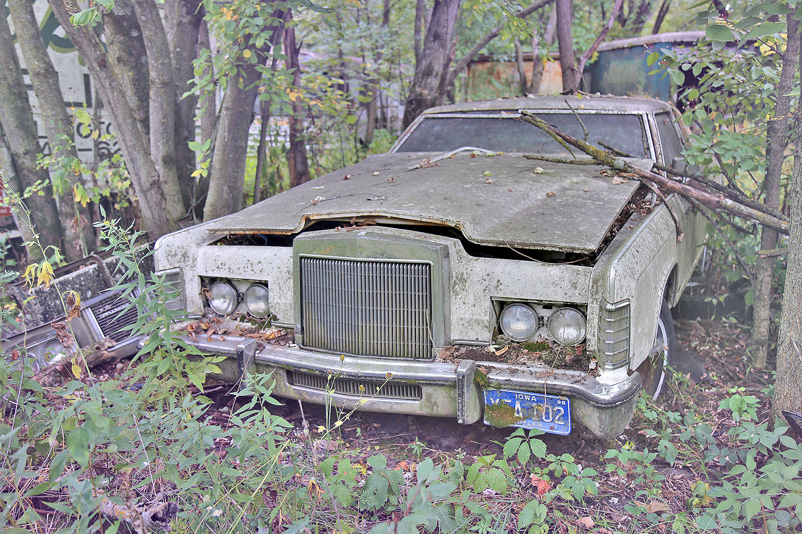 Trésors trouvés chez Ron's Auto Salvage à Allison, dans l'Iowa