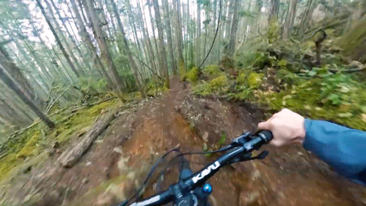 One hour. One lap. Pure chaos.