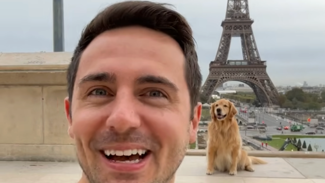 Dogs who take better selfies than humans