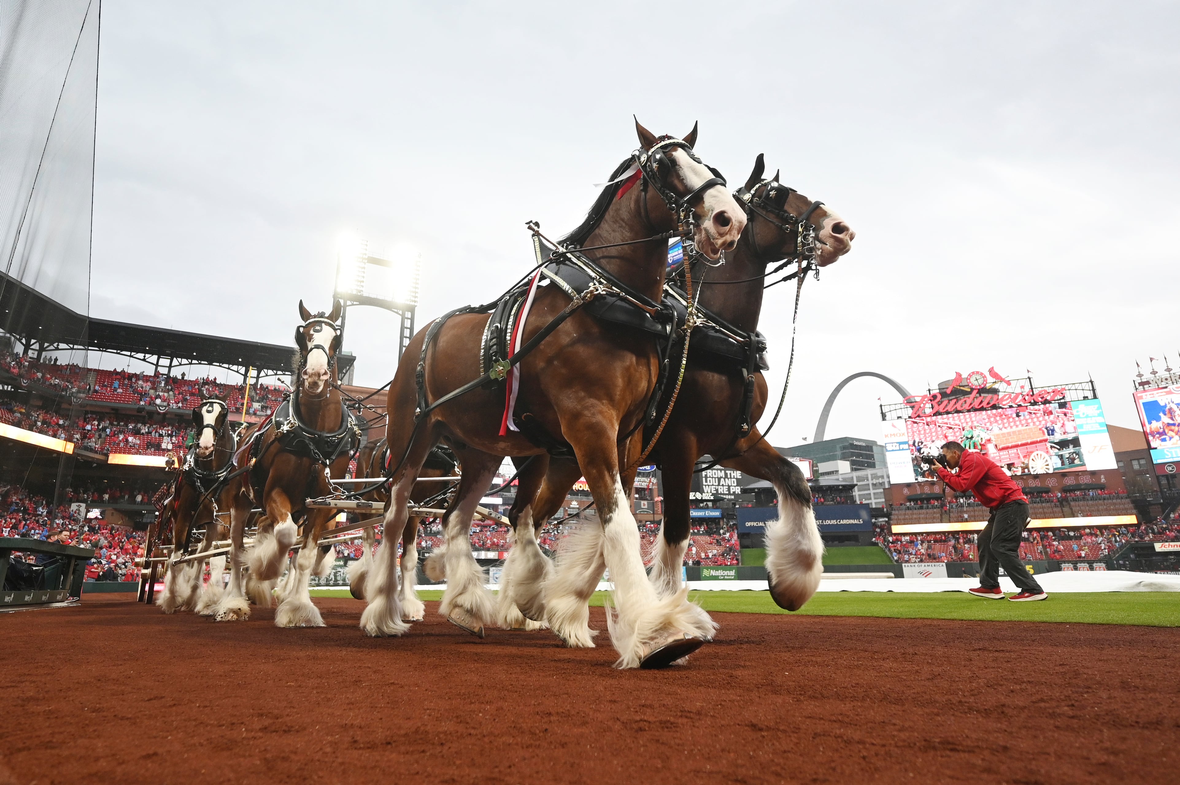 Everything you need to know about opening day for the Cardinals