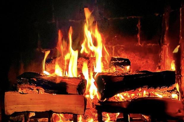 Basingstoke Gazette Camera Club photographers capture 'winter warmth ...