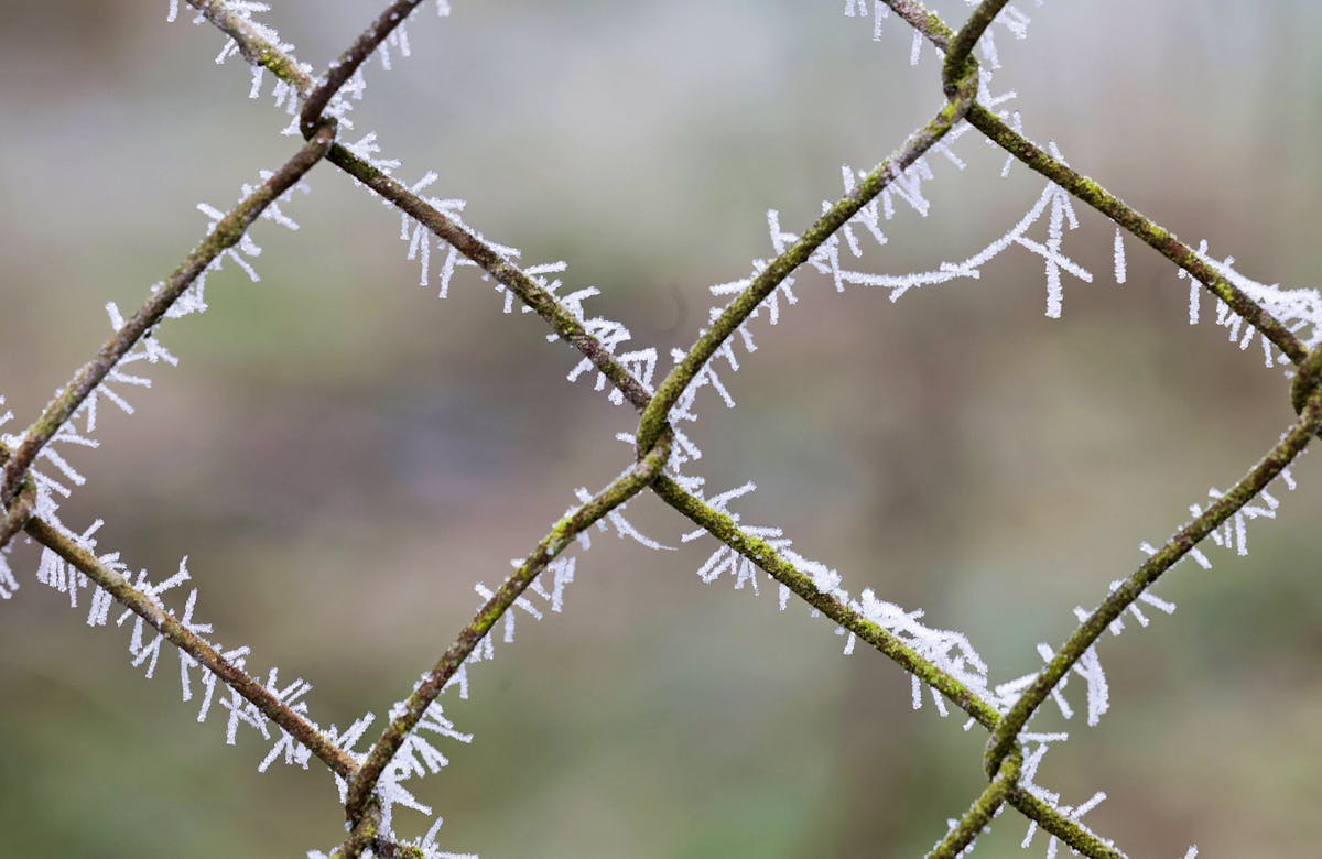 Stadler embarrassé : Siemens sauve une liaison des CFF