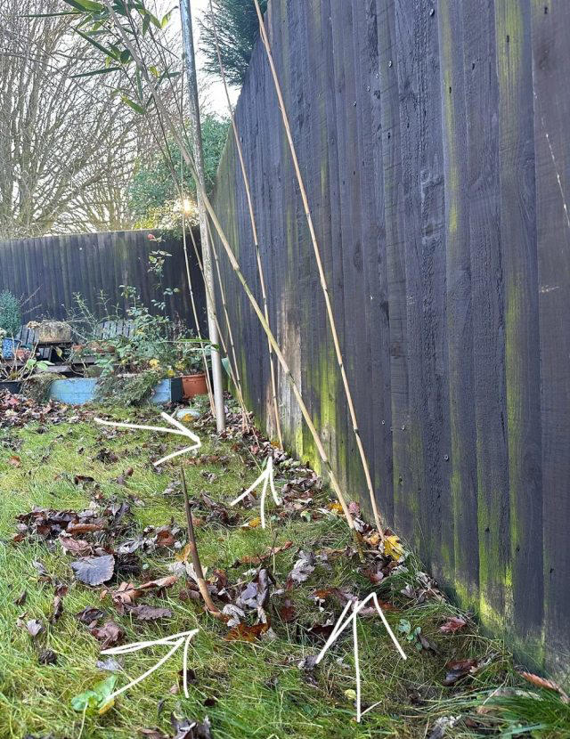 Homeowner distressed after finding alarming issue spreading from ...