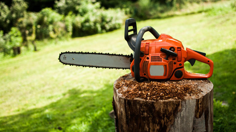 Turn old tree stumps and a wood pallet into a beautiful garden planter box