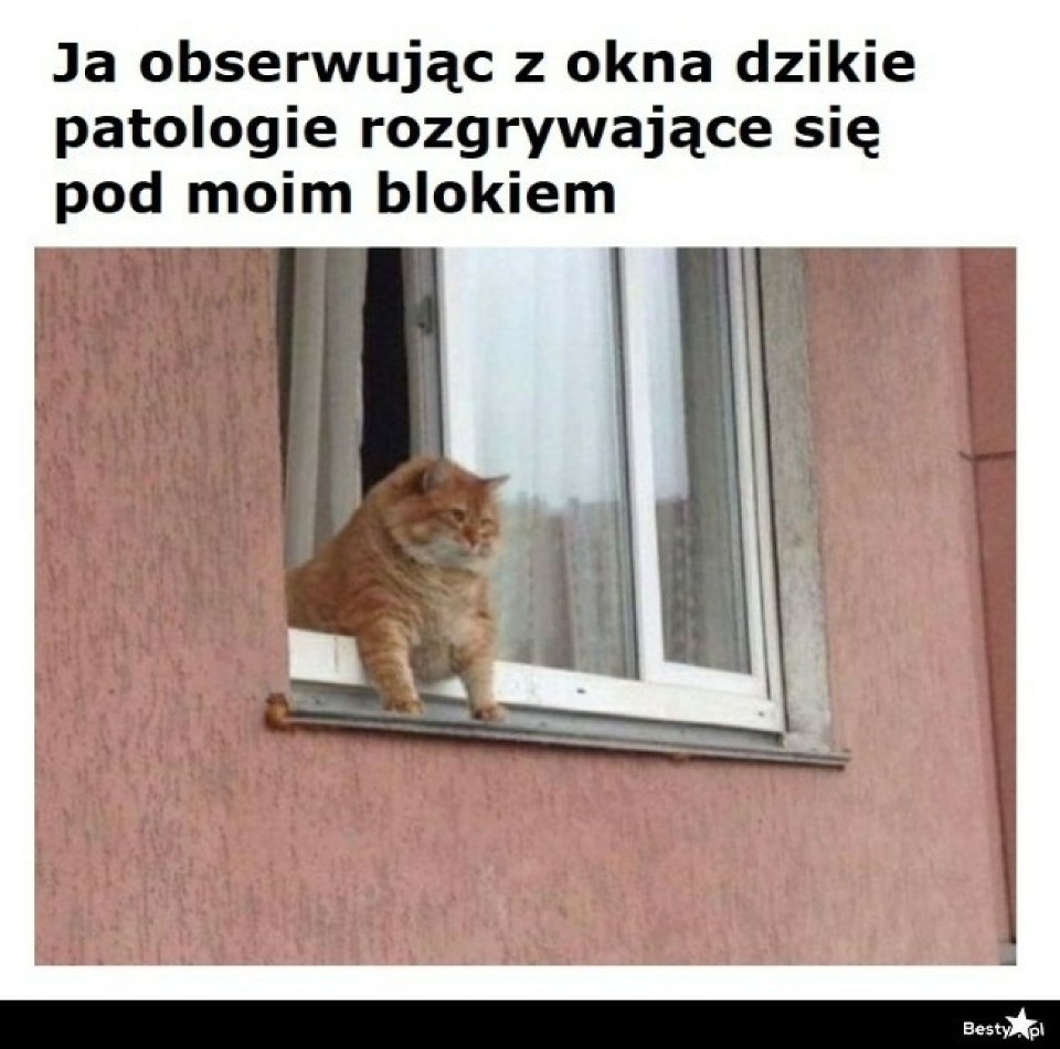 Kiedy pod blokiem dzieje się drama. Oto najlepsze memy o mieszkaniu w bloku