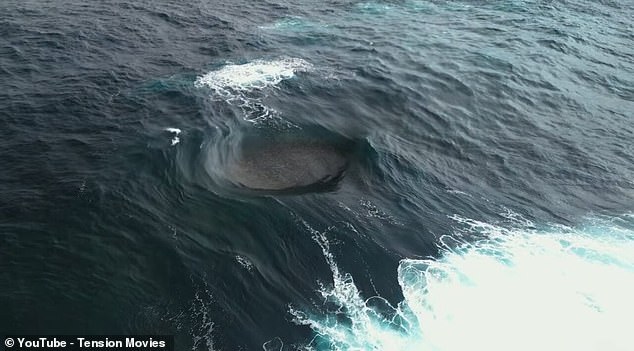 'World's craziest wave' leaves surfers in Australia baffled - as one ...