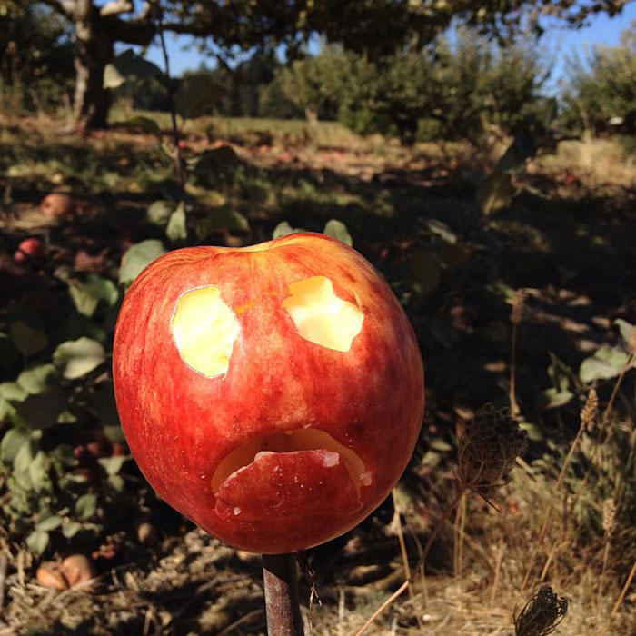 People Explain That They Or Someone They Knew Have Been Eating These 30 ...