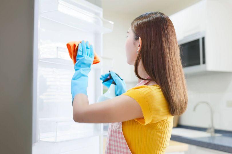 Fridge will 'sparkle' and smell clean with 1 kitchen staple