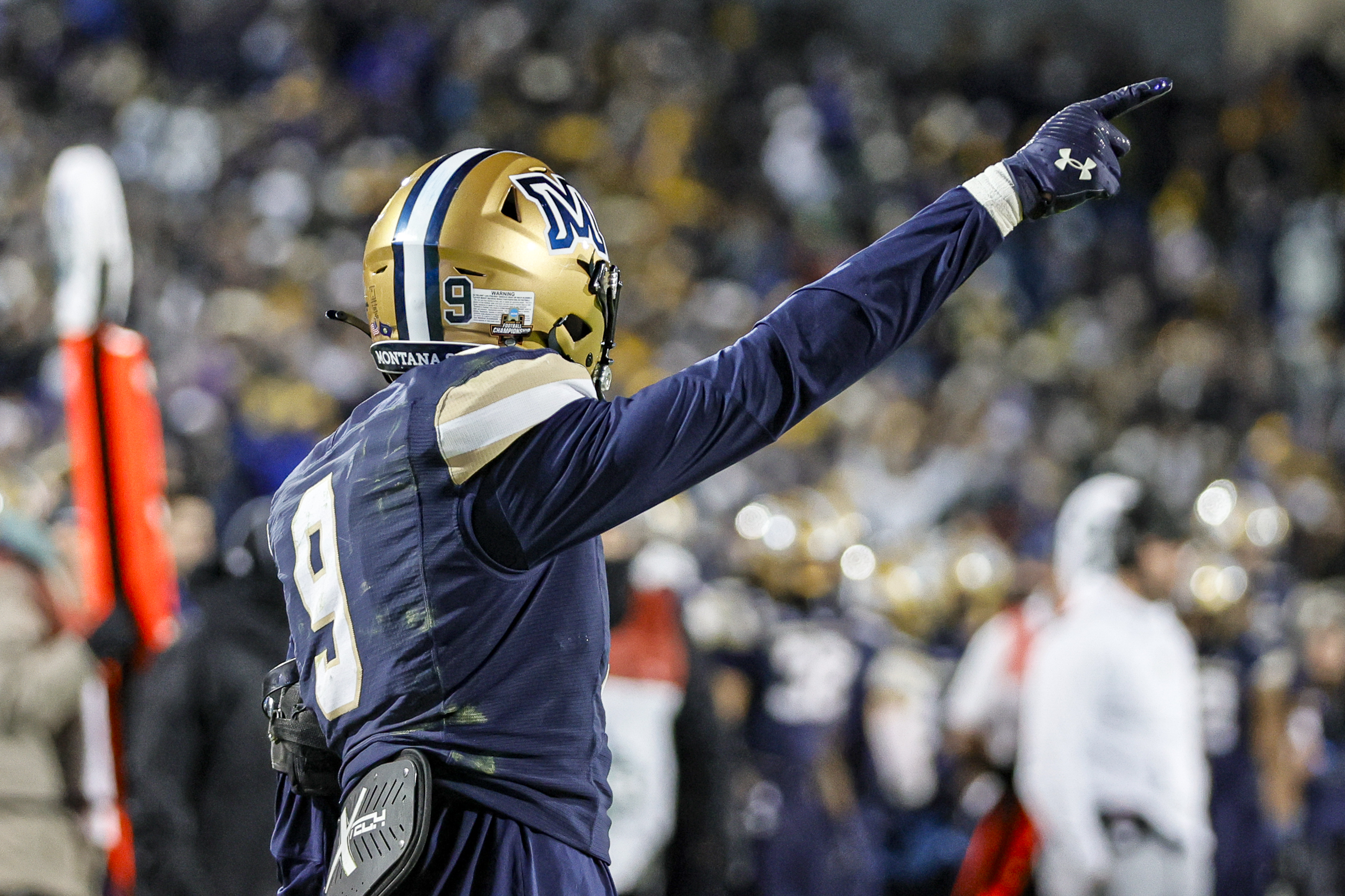 What's at stake for Montana State, Illinois State in FCS championship?