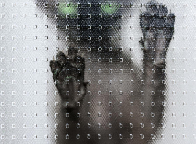 Mom cat teaches her kittens something very strange and they copy it ...