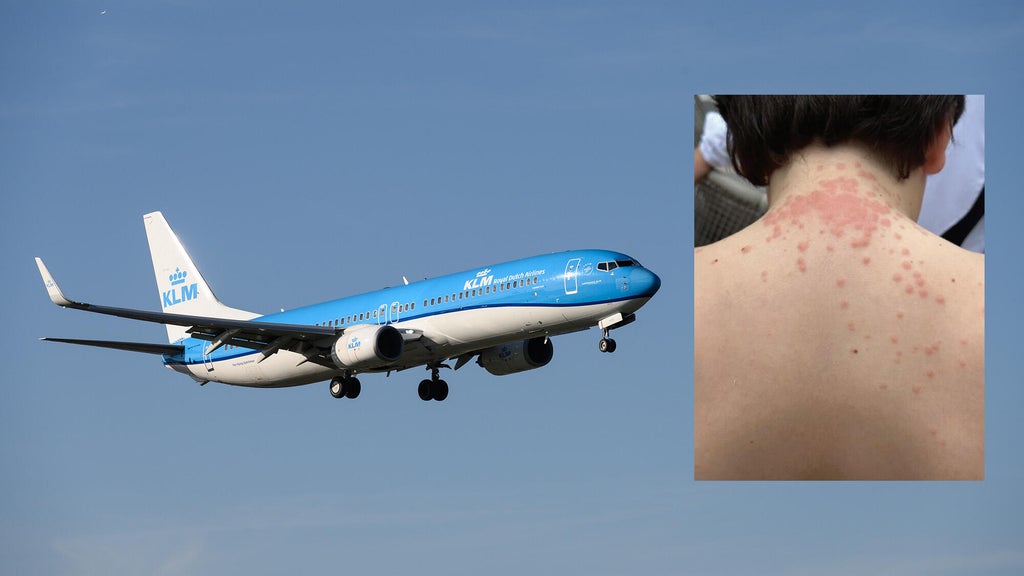 Family sues Delta and KLM for $200,000, claiming they were attacked by ...