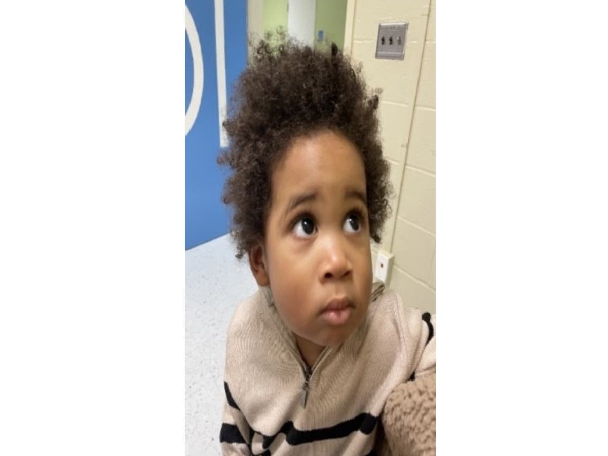 Mom of tot left behind in botched LA car theft arrested on unrelated ...