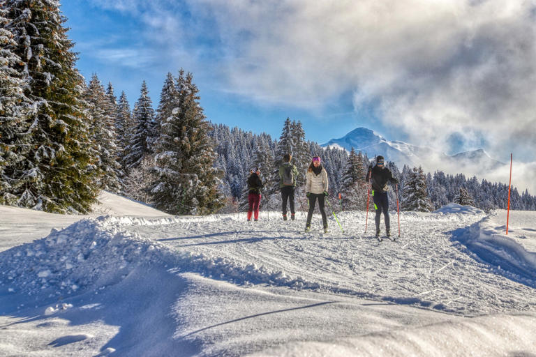 Ski de fond - Domaine nordique de Praz de Lys Sommand - Présentation