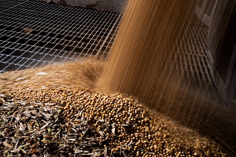 Trump threatens ‘severe tariffs’ on Canadian fertilizer in attempt to ...