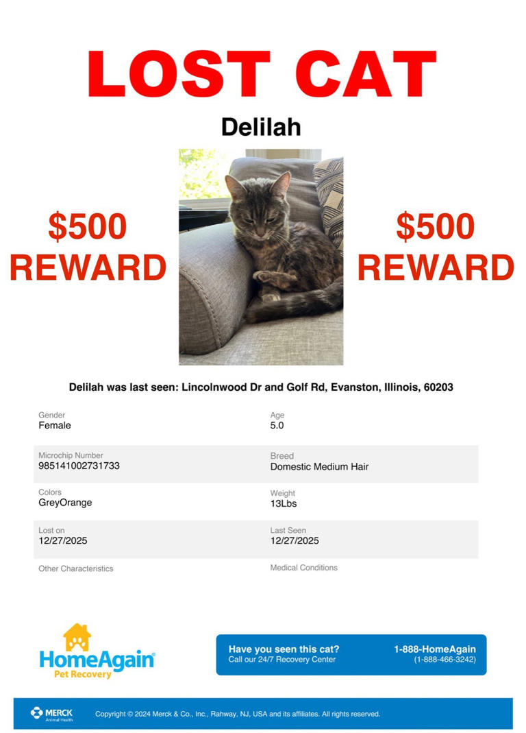 PetSmart gave their cat to the wrong people, now she's missing
