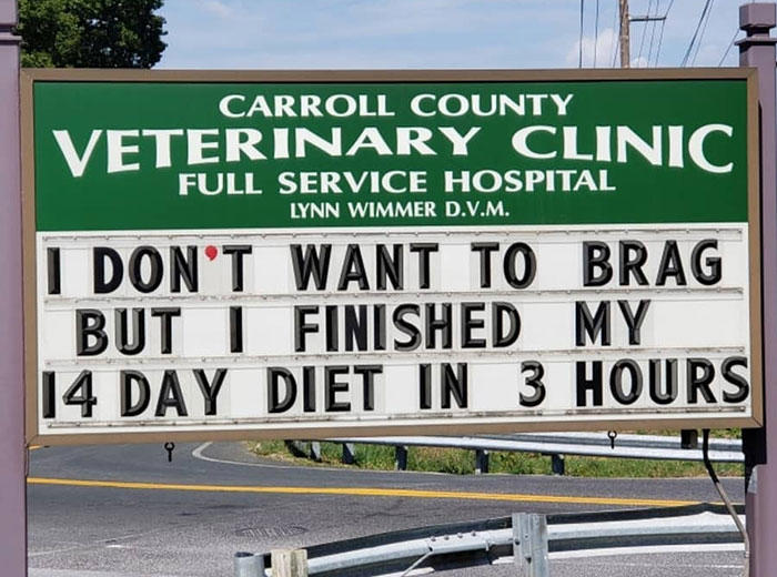 29 of the funniest outdoor signs from this vet clinic that dad joke ...