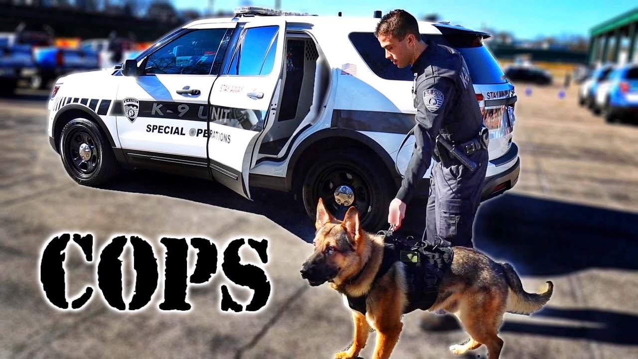 I found stolen evidence while magnet fishing!