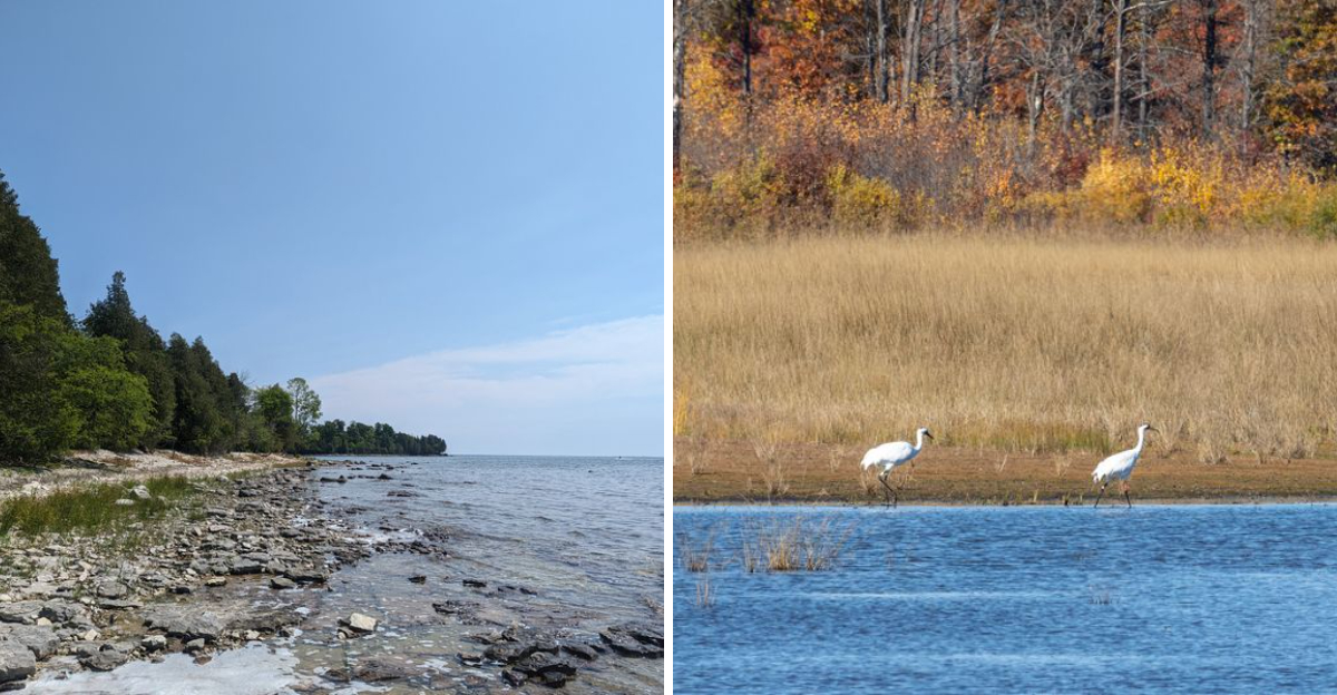 6 lesser-known wildlife refuges in Wisconsin