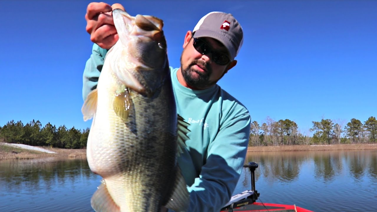 Hot new lure catches a giant bass!