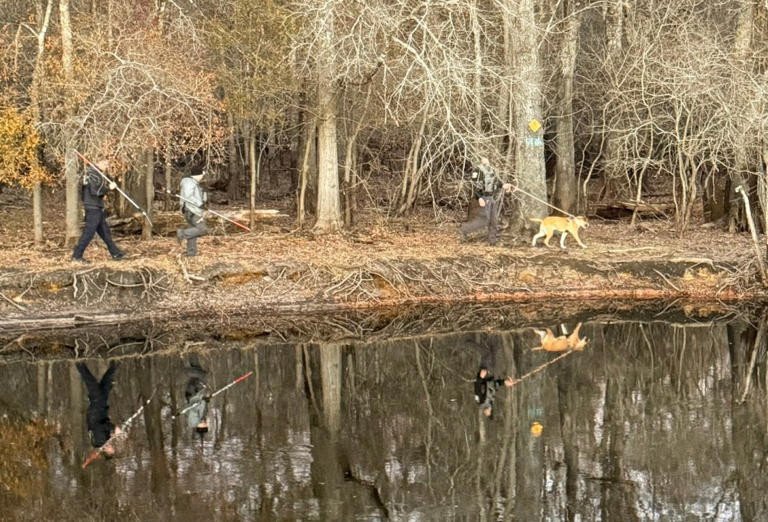 Horry County police, fire crews rescue dog from island on Waccamaw River