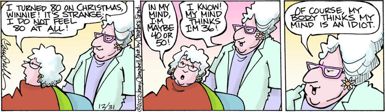 LightWave Reports' daily comic strips (12/31)