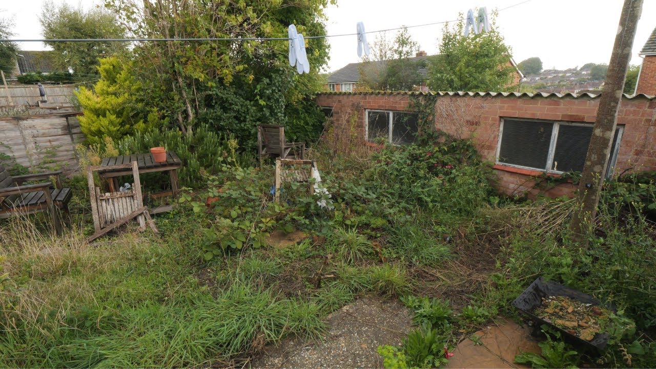 I transformed a jungle into paradise