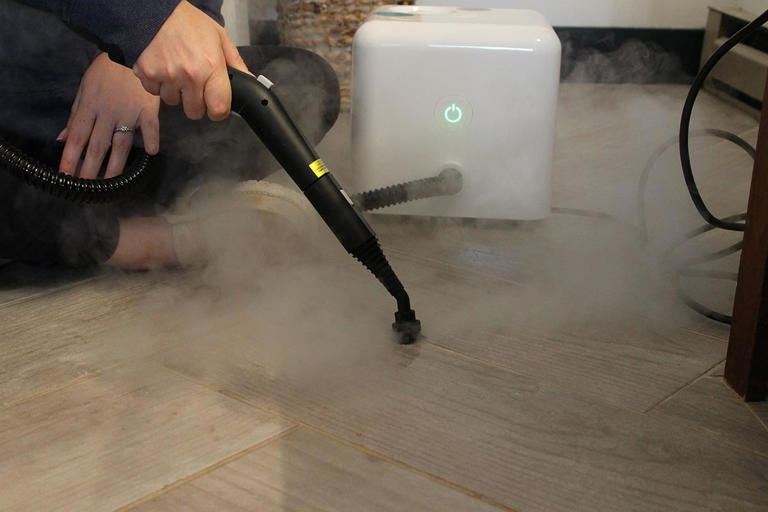 7 best handheld steam cleaners of 2026, tested and vetted