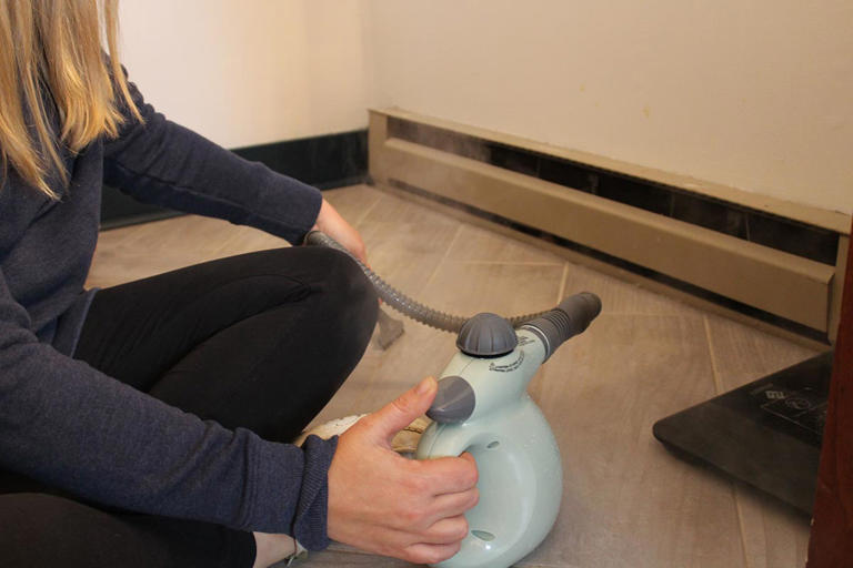 7 best handheld steam cleaners of 2026, tested and vetted
