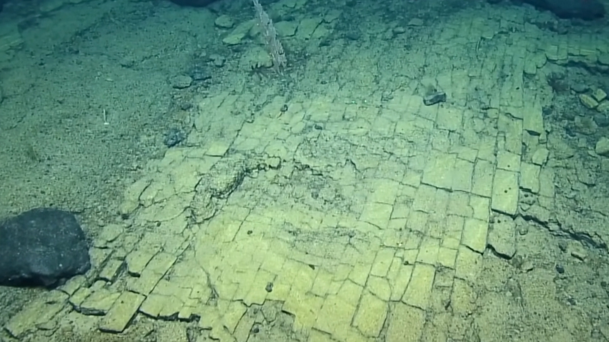 Scientists found a 'yellow brick road' at the bottom of the ocean
