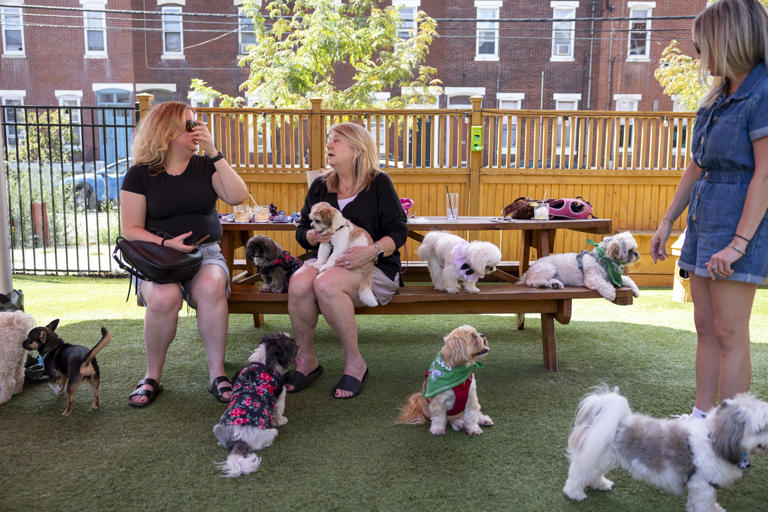 The Boozy Mutt, a Fairmount dog bar, will be closing after two years in ...