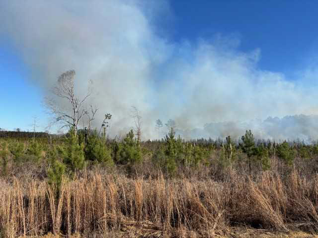 Brush fire burns at least 20 acres, threatens hunting camp